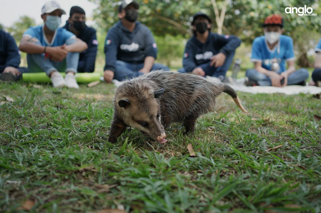 DSC08376COLEGIO ANGLO MEXICANO-COATZACOALCOS-ECOLOGIA-PARQUE RECREATIVO ...